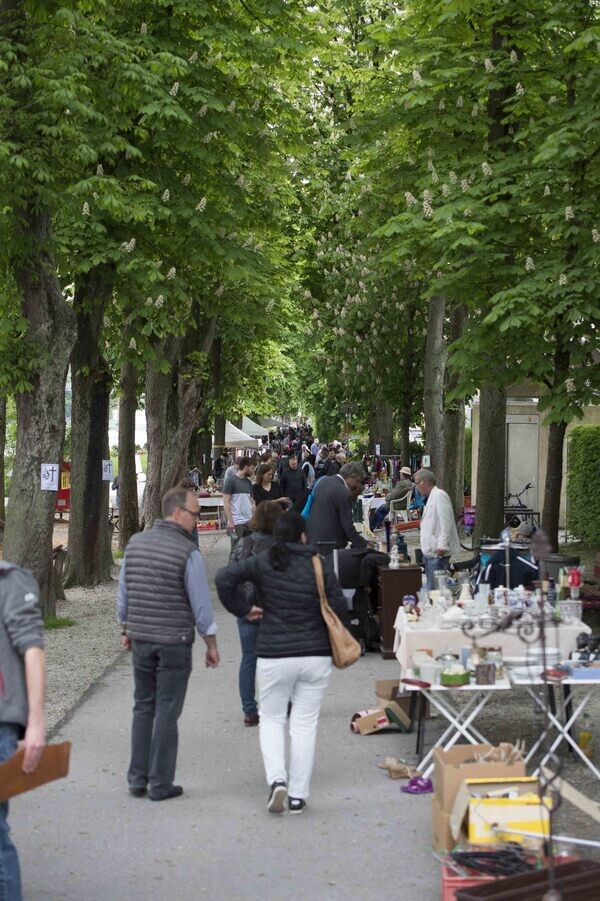 7.000 Passauer bringen Bürgerbegehren für Waldschutz auf den Weg ...